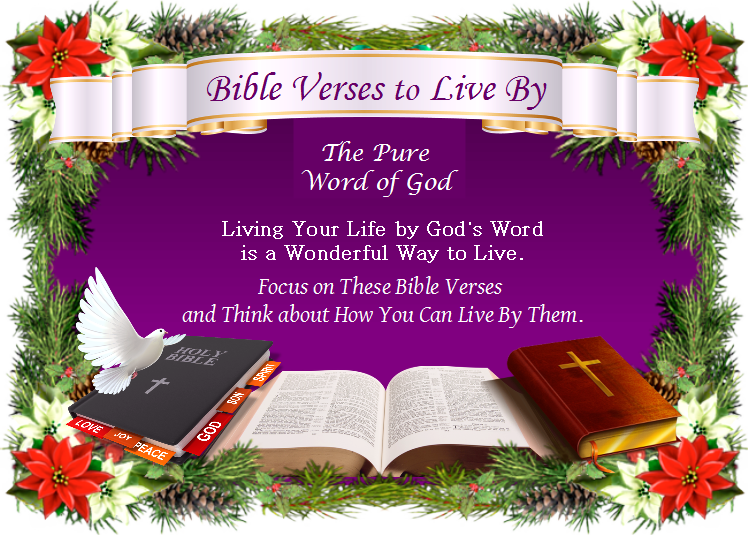 Bible Verses to Live By ~ No.50. – Journeying with Jesus